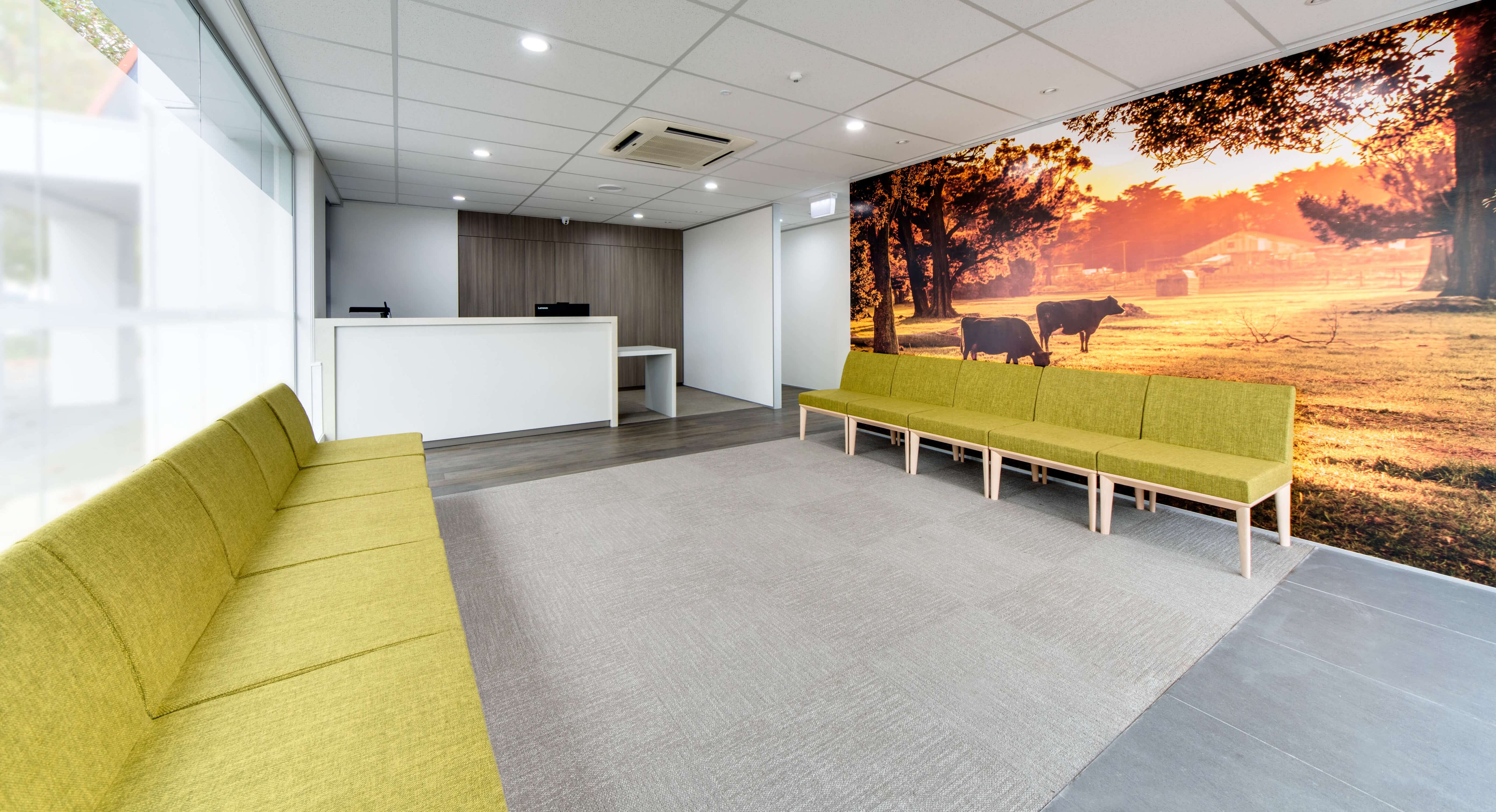 Franklin Dental fitout by Dentec | Dental fitout specialists